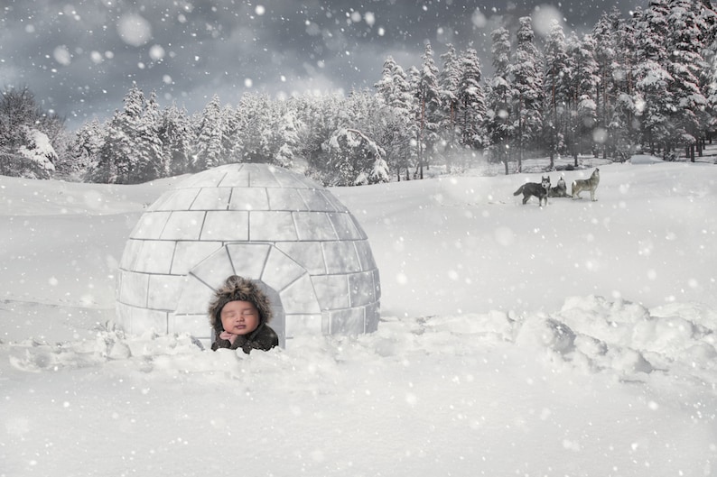 Igloo in the Snow With Wolfpack/falling Snow Winter Digital Background ...