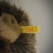 Vintage Original Steiff Hedgehog Joggi / 070501 / Cute - Etsy