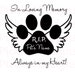 DOWNLOAD - RIP Pet Dog Cat in Loving Memory Infant Loss Paw Print SVG ...