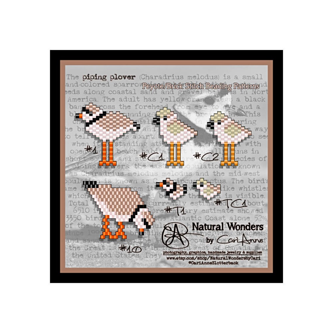 Piping Plover (6pc) Brick & Peyote Stitch Patterns for Pendants ...