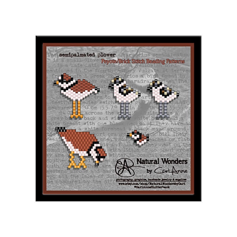 Semipalmated Plover (5pc) Brick & Peyote Stitch Patterns for Pendants ...