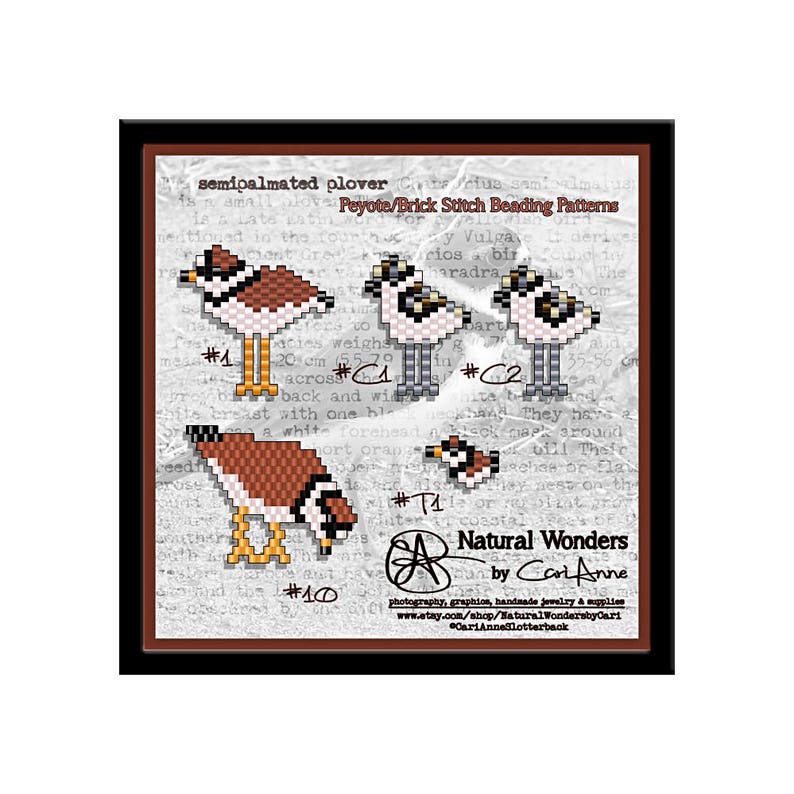 Semipalmated Plover (5pc) Brick & Peyote Stitch Patterns for Pendants ...