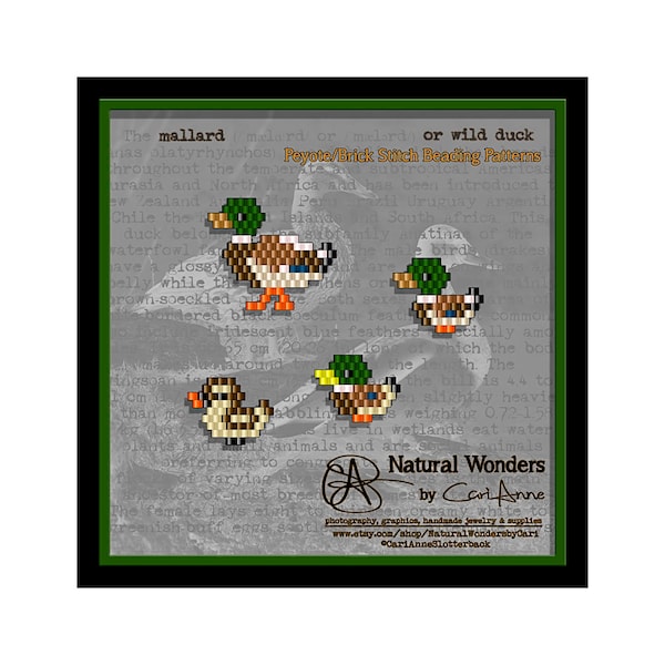 Bead Duck Pattern - Etsy