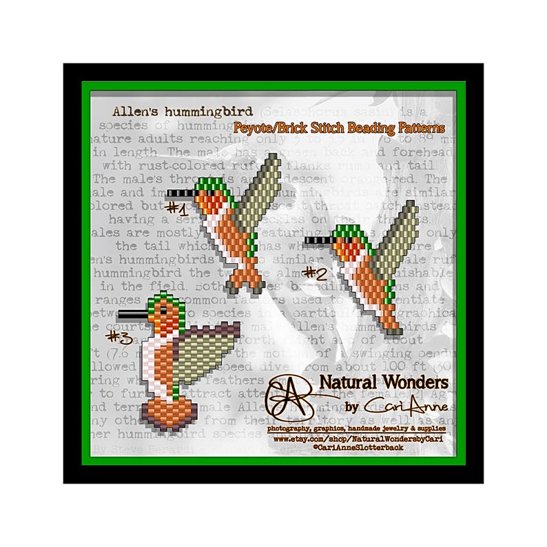 Allen's Hummingbird (3pc) Brick/peyote Stitch Beading Pattern ...