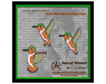 Anna's Hummingbird 3pc peyote/brick stitch beading