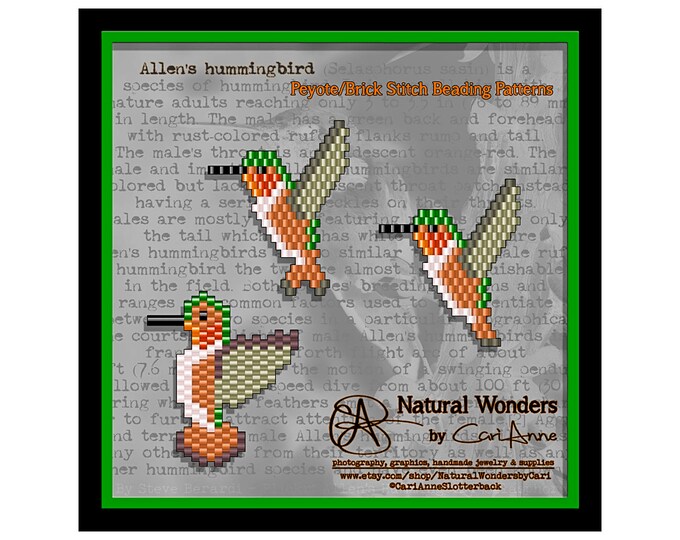 Colorful Hummingbird, Brick Stitch Pattern(or Peyote Stitch Pattern ...