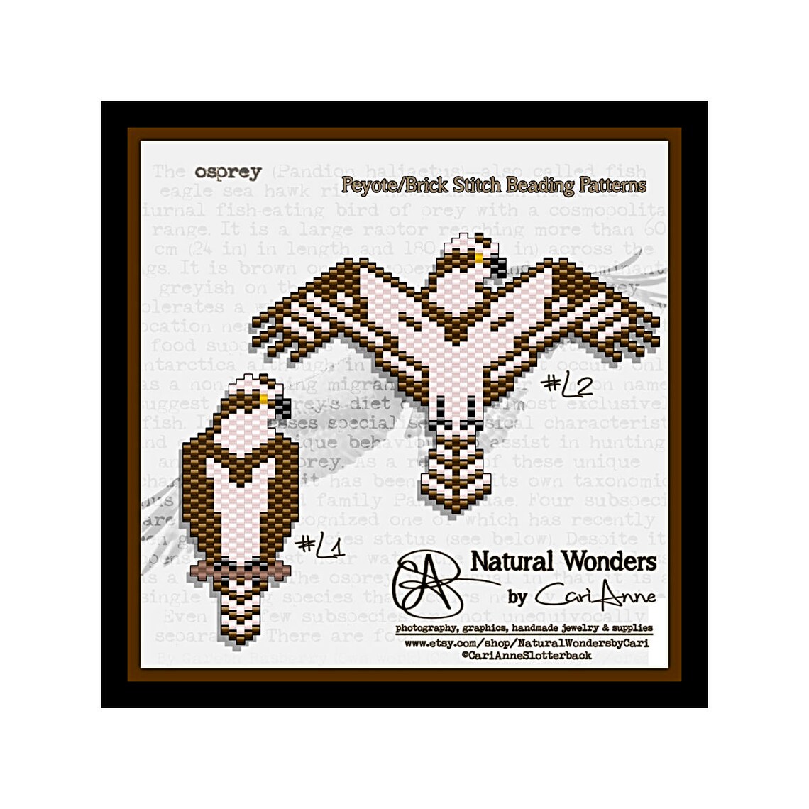 Osprey L1 Brick / Peyote Stitch Pattern for Pendants Pins - Etsy