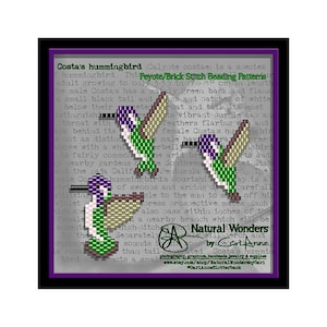 Costa's Hummingbird (3pc) Peyote/brick Stitch Beading Patterns for ...