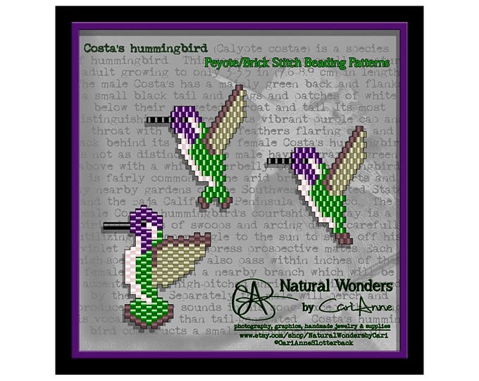 Colorful Hummingbird, Brick Stitch Pattern(or Peyote Stitch Pattern ...