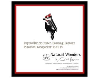 Pileated Woodpecker Pattern - Etsy