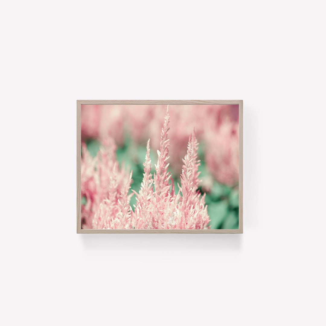 Pink Floral Digital Print, Pink Floral Printable, Pink Botanical Print ...