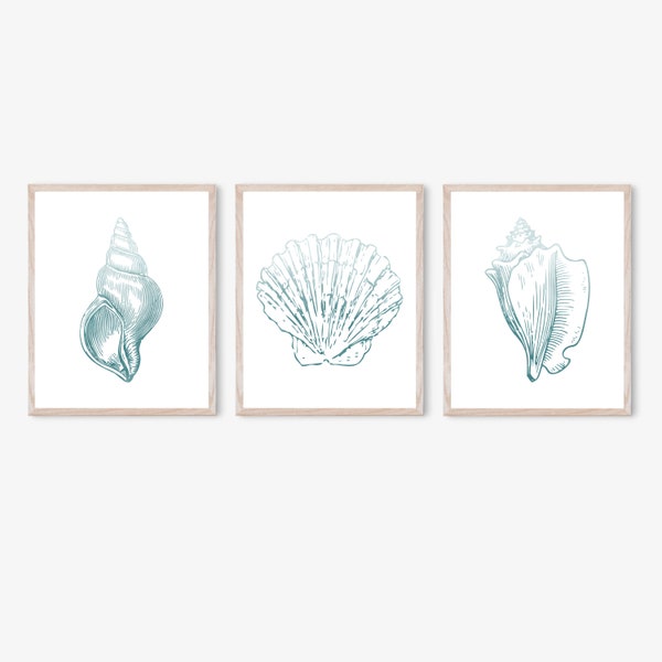 Shells Print - Etsy
