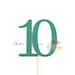 10 Cake Topper, Ten Cake Topper, Tenth Birthday Cake Topper, 10th ...