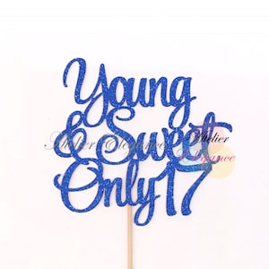 Young and Sweet Only 17 Cake Topper, Happy 17th Birthday Cake Topper ...