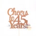 45th Birthday Cake Topper, Cheers to 45 Years Cake Topper, 45th ...