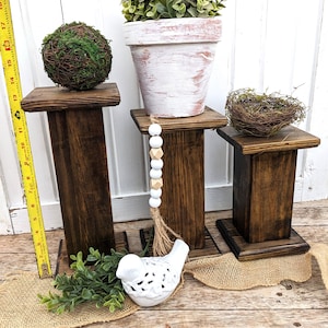 Wood Pedestal Risers, Small Plant Risers, Walnut Stained Risers , Black ...