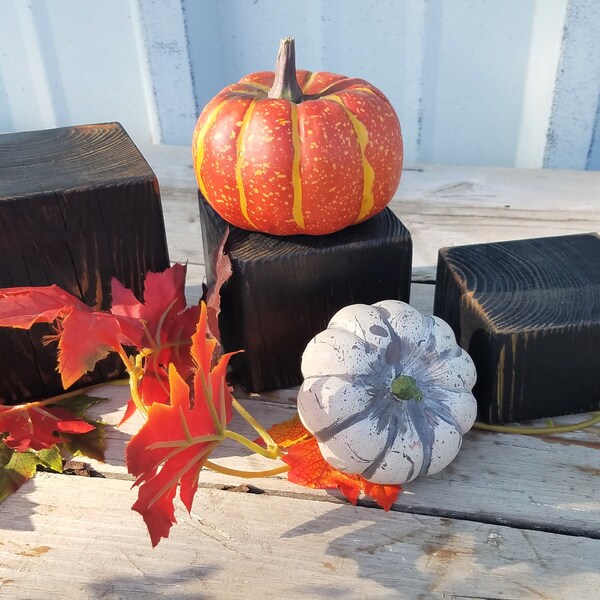 Plant Planter Risers - Etsy