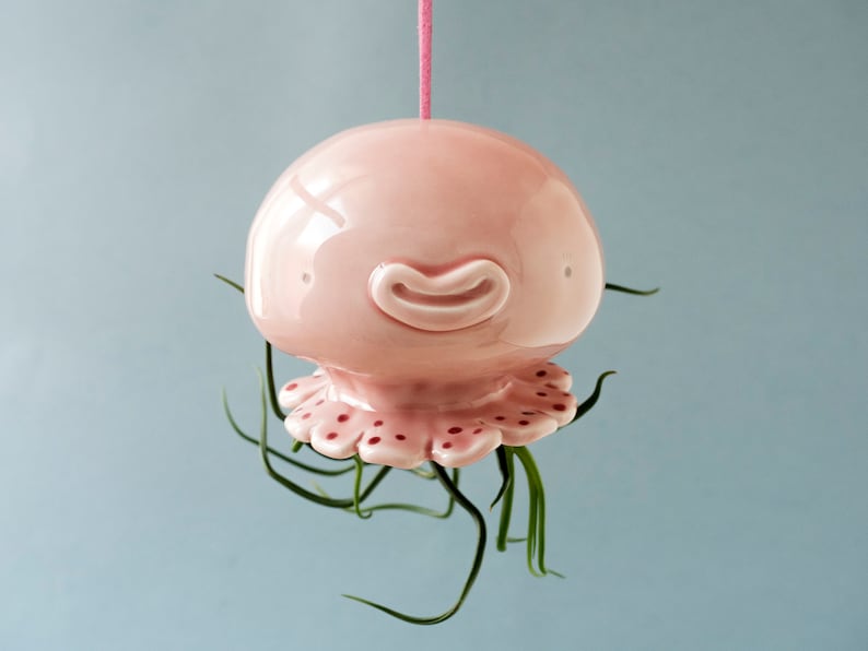 Jellyfish Hanging Planter. A Cute Air Planter Jellyfish Shaped to Hold ...
