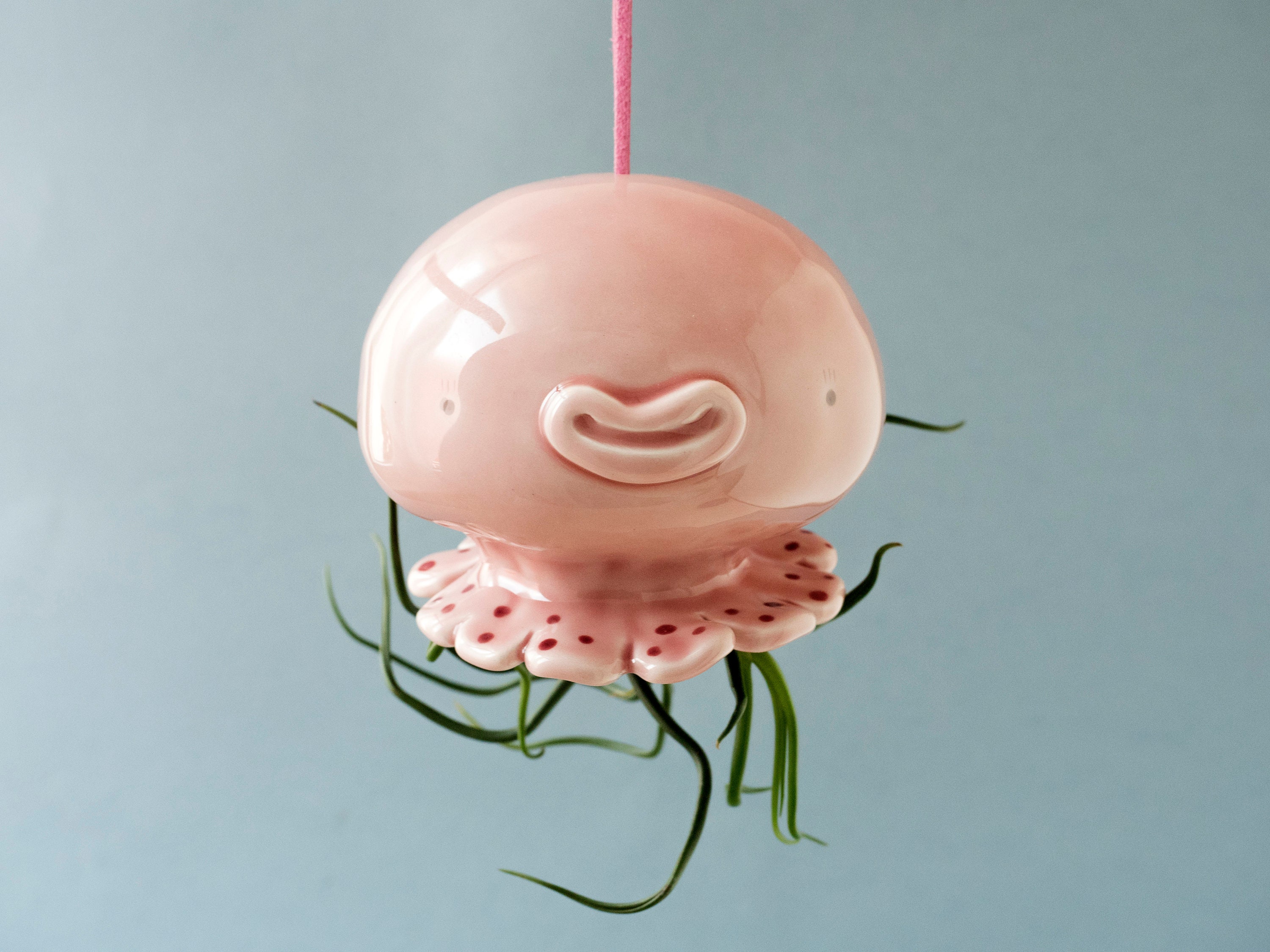 Jellyfish Hanging Planter. A Cute Air Planter Jellyfish Shaped - Etsy ...