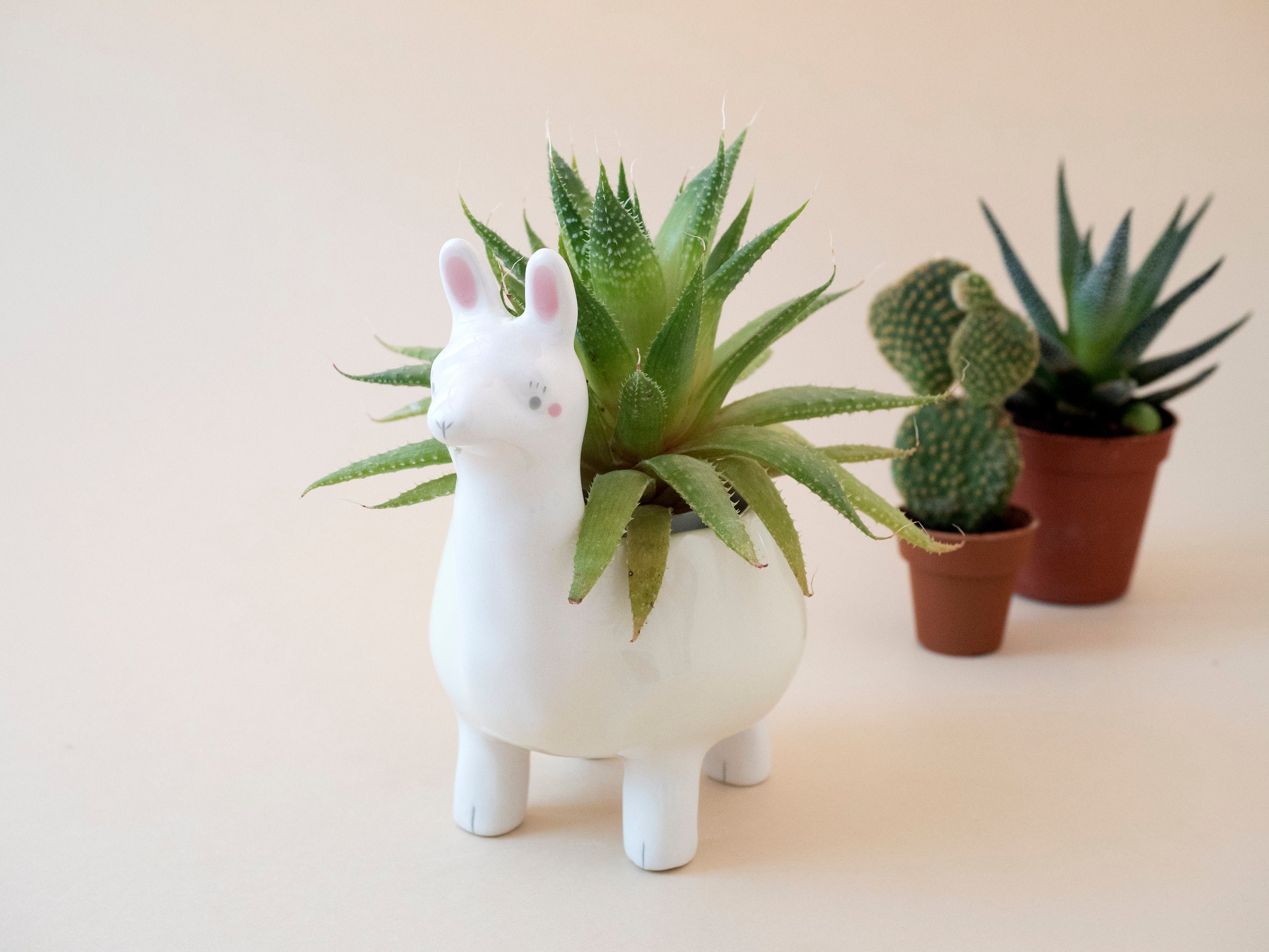 Llama Planter Pot, Cute Animal Plant Pot. Special Gift for Llamas ...