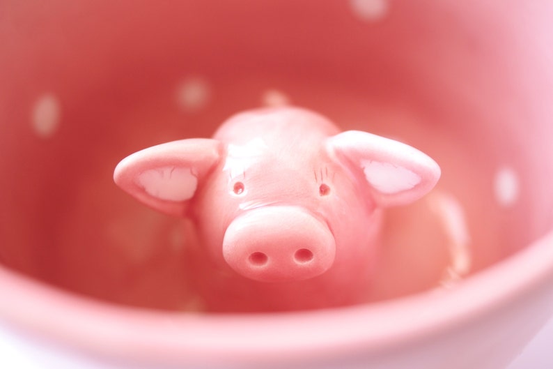 Pig Coffee Mug Cute Hidden Animal Mug. Hand Painted Mug. | Etsy