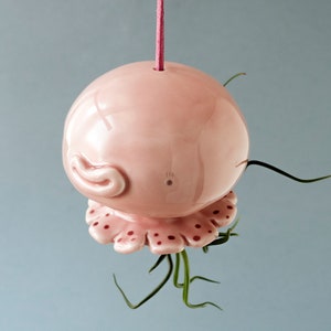 Jellyfish Hanging Planter. A Cute Air Planter Jellyfish Shaped to Hold ...