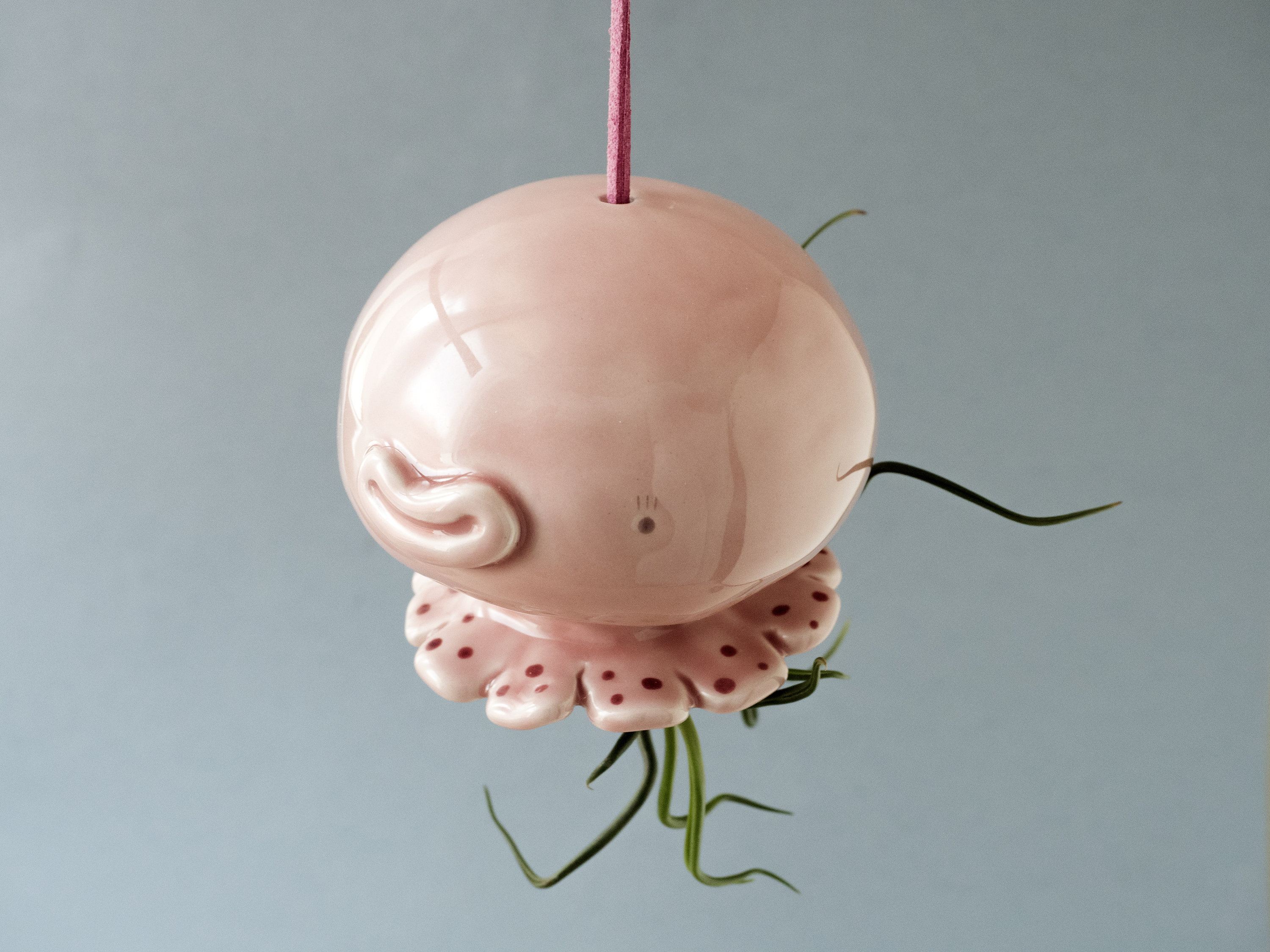 Jellyfish Hanging Planter. A Cute Air Planter Jellyfish Shaped - Etsy ...