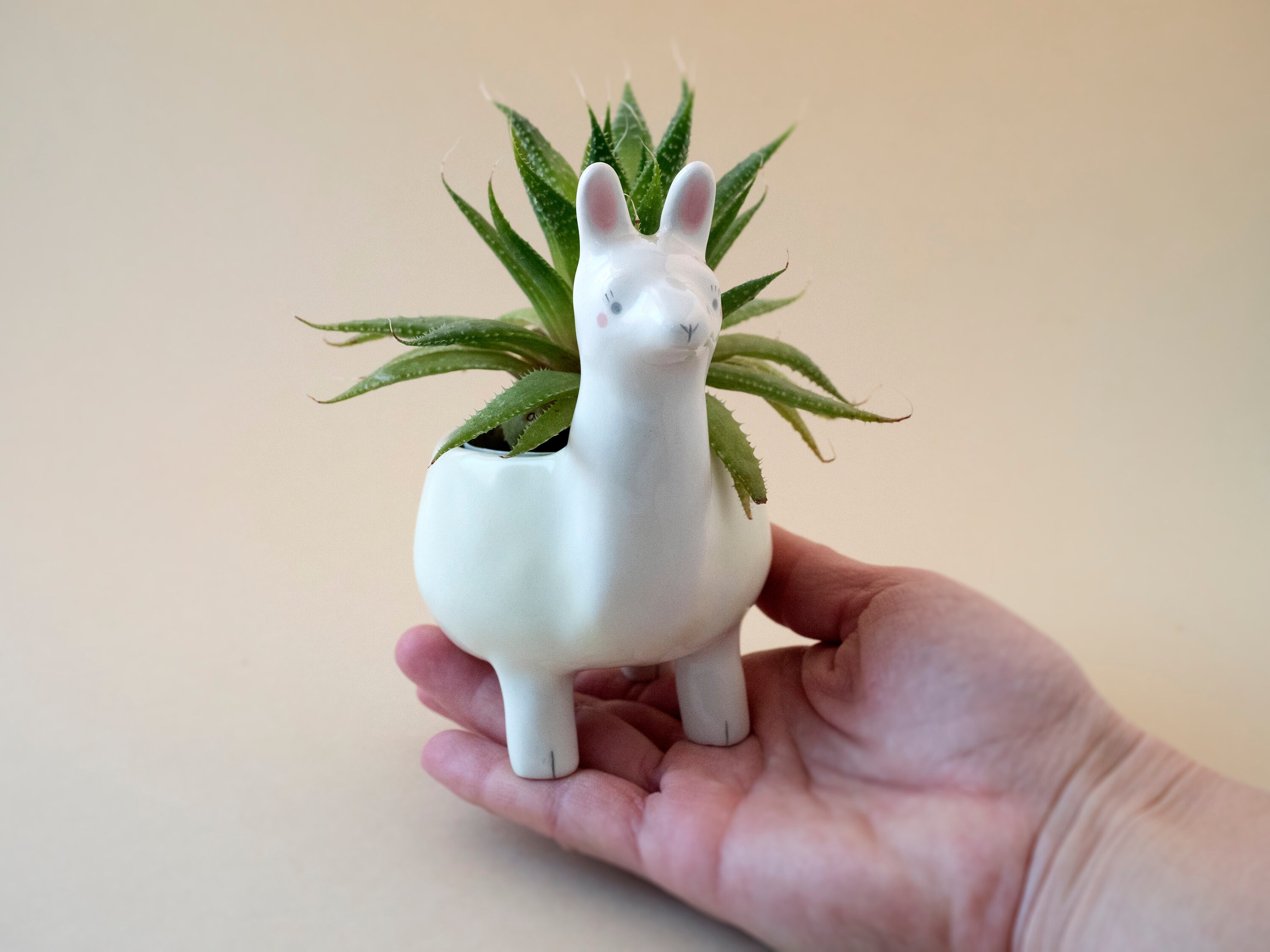 Llama Planter Pot, Cute Animal Plant Pot. Special Gift for Llamas ...