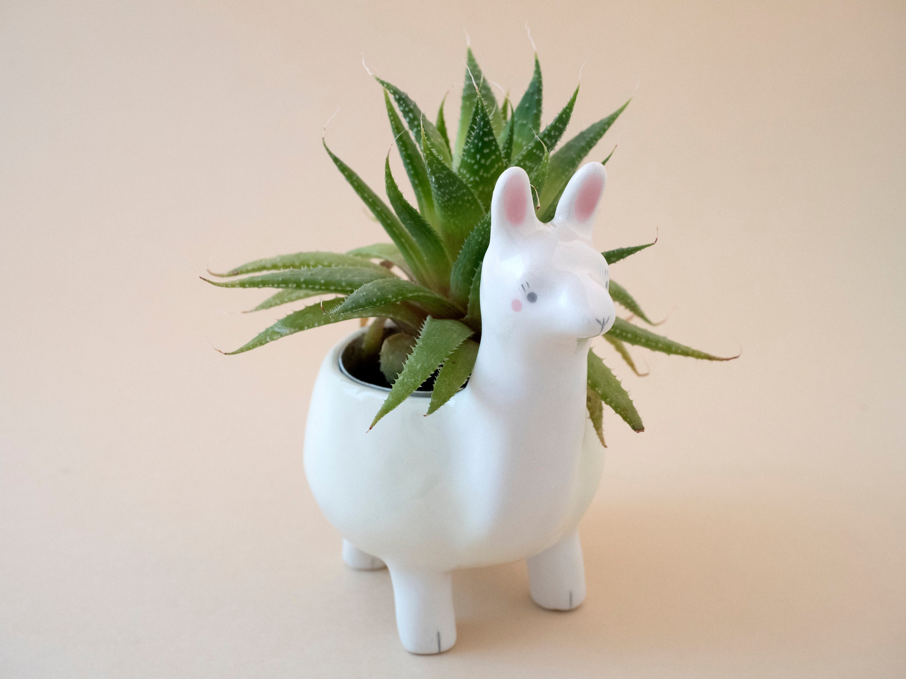 Llama Planter Pot Cute Animal Plant Pot. Special Gift for | Etsy