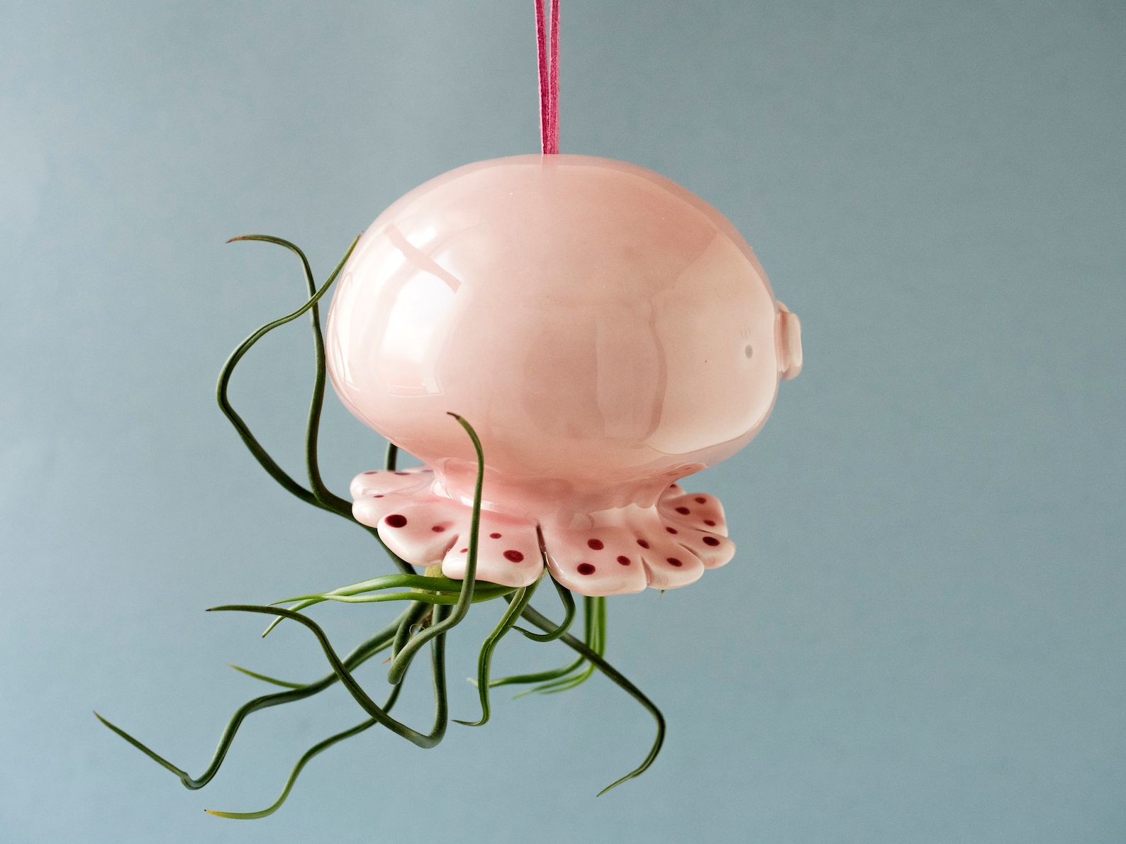 Jellyfish Hanging Planter. A Cute Air Planter Jellyfish Shaped to Hold ...