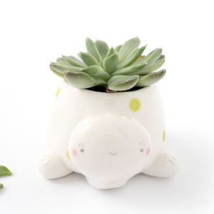 Sea Turtle Planter Pot for Succulent or Cactus. Unique Ceramic Tortoise ...