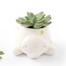 Sea Turtle Planter Pot for Succulent or Cactus. Unique Ceramic Tortoise ...