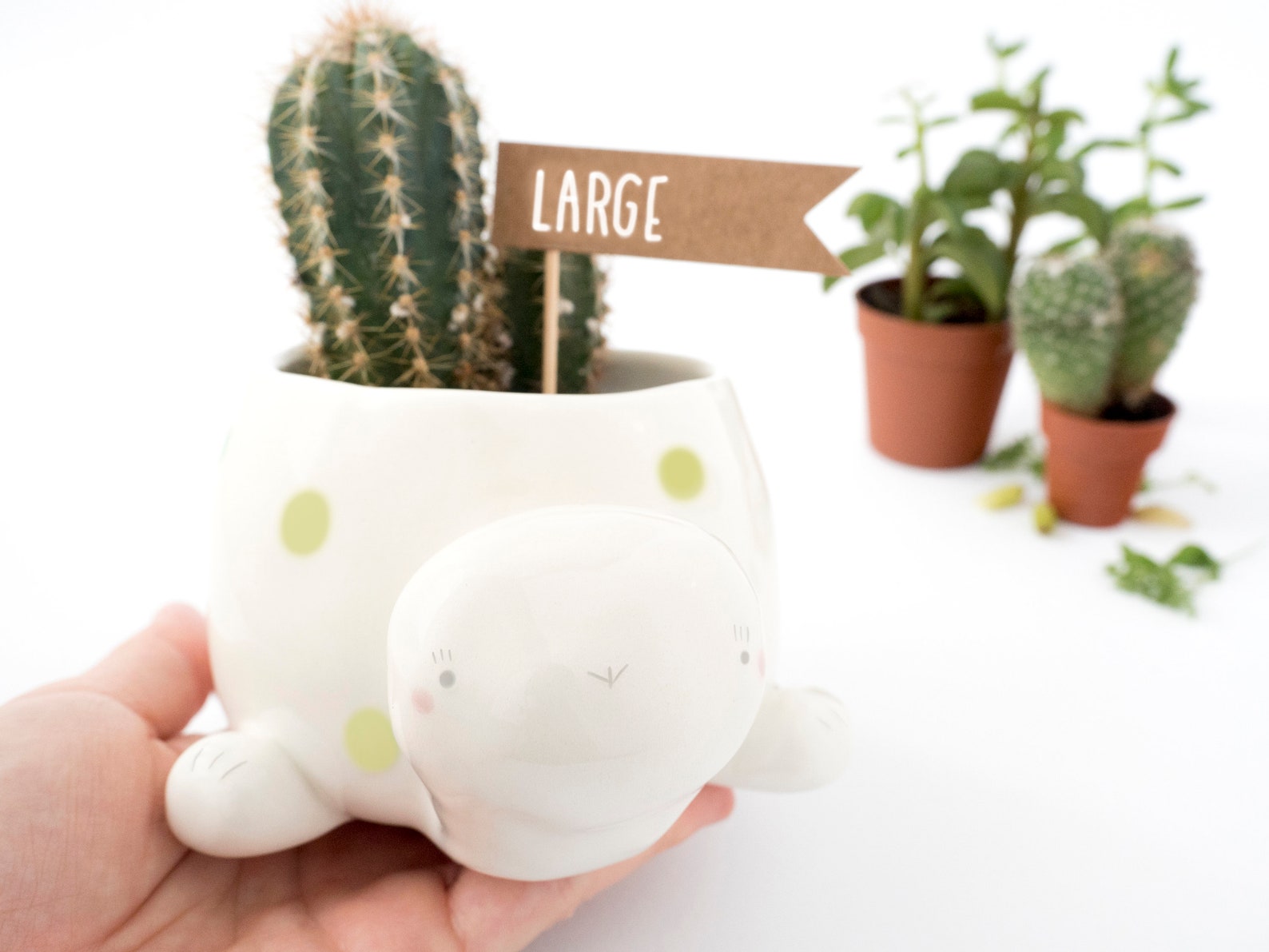 Sea Turtle Planter Pot for Succulent or Cactus. Unique Ceramic | Etsy