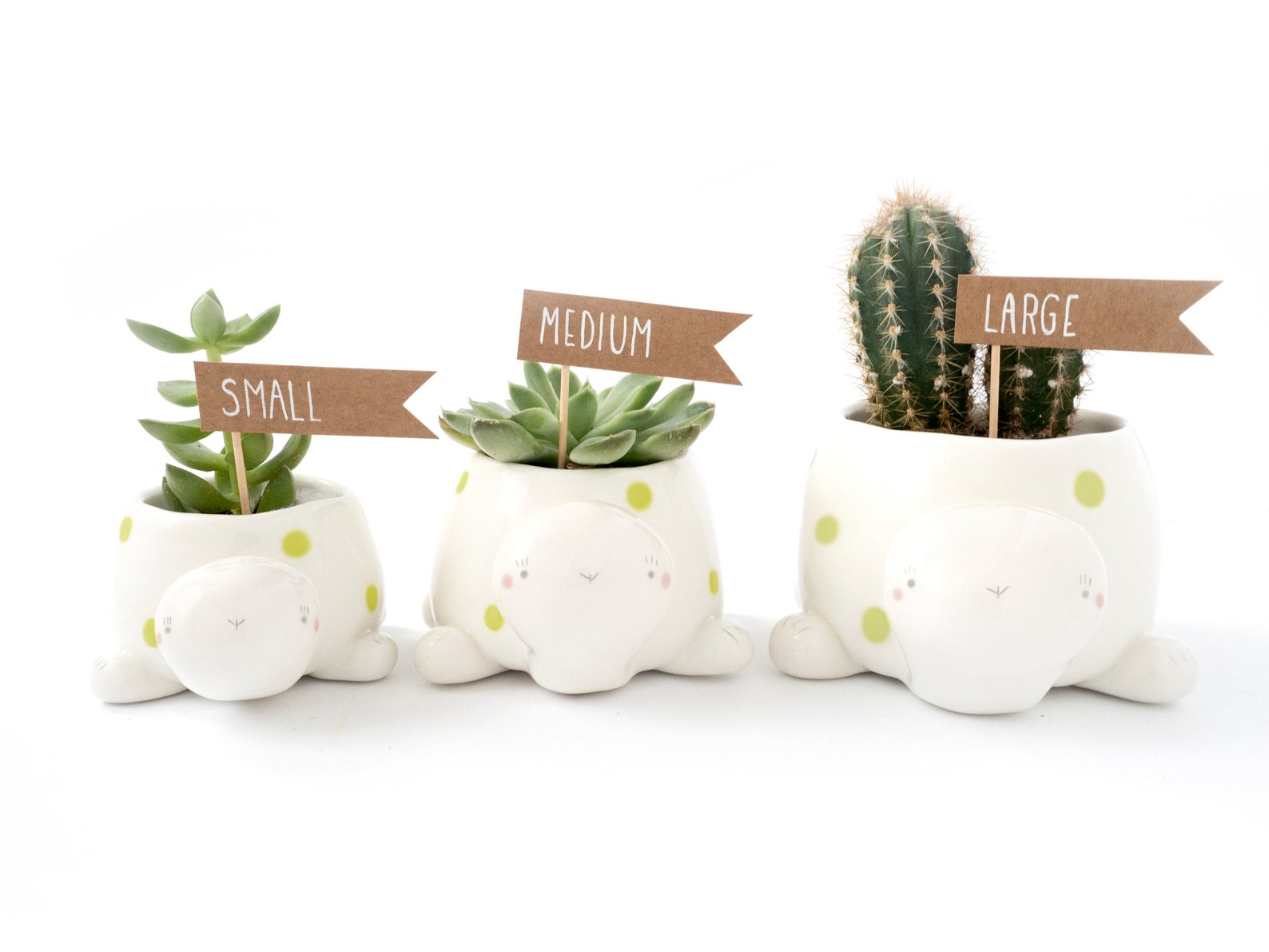 Sea Turtle Planter Pot for Succulent or Cactus. Unique Ceramic | Etsy