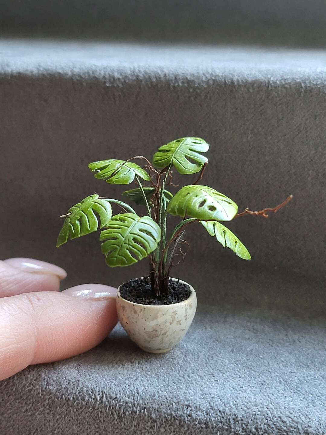 MONSTERA DELICIOSA in Ooak Ceramic Pot, Scale 1:12 Dollhouse ...