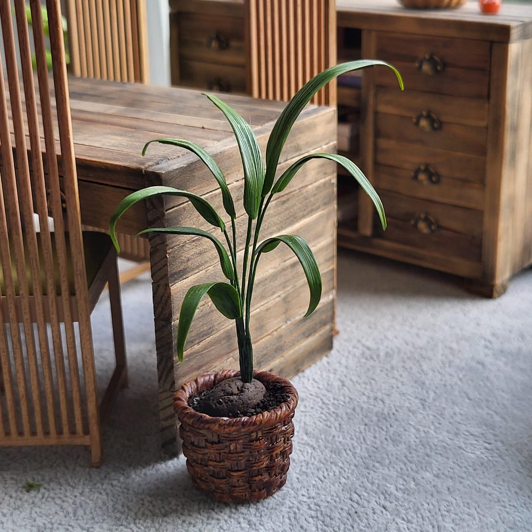 Coconut PLANT in a Pot, Scale 1:12 Dollhouse, Miniatures, Garden ...