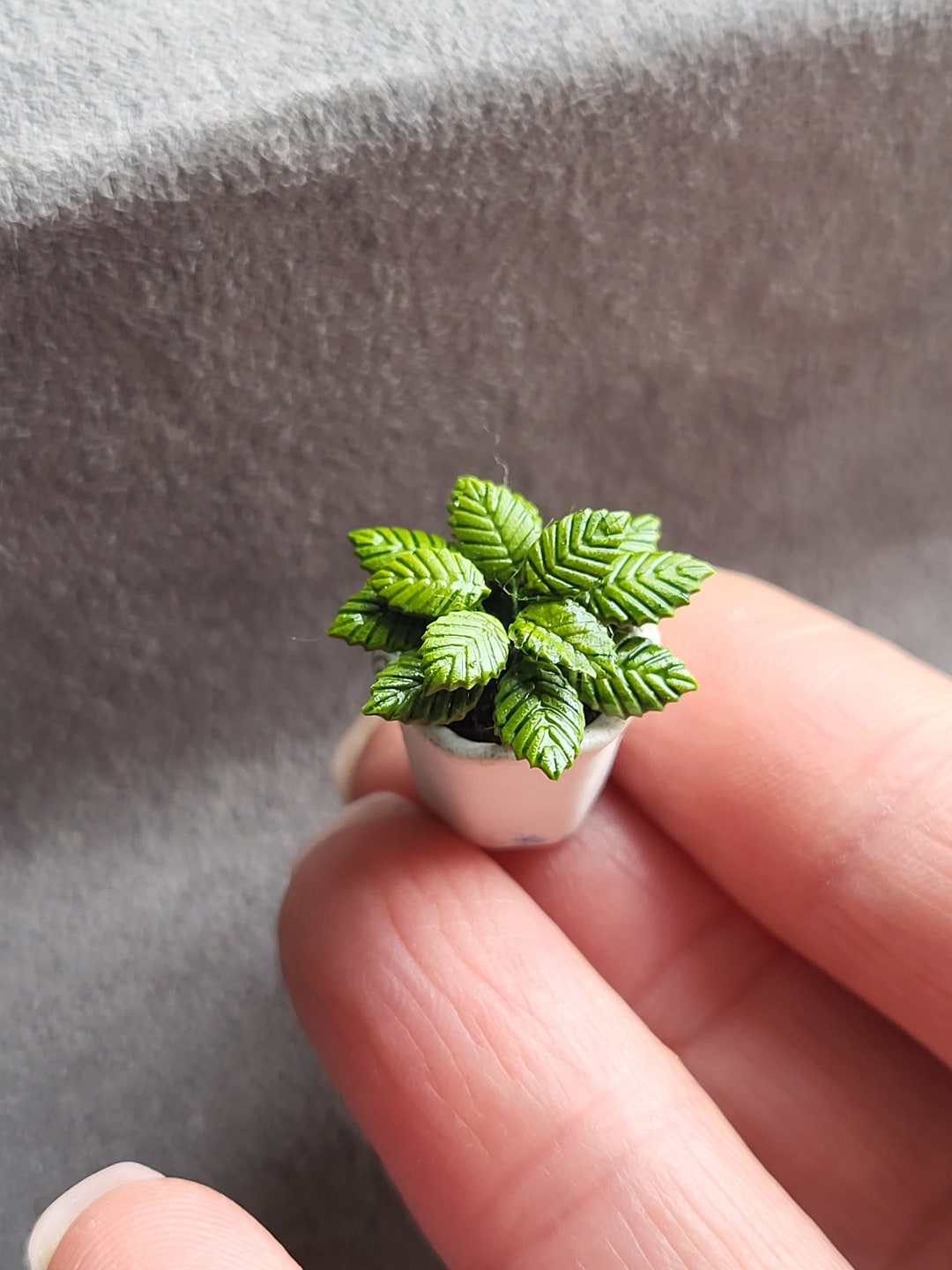 Green PLANT in a Pot, Scale 1:12 Dollhouse, Miniatures, Garden ...