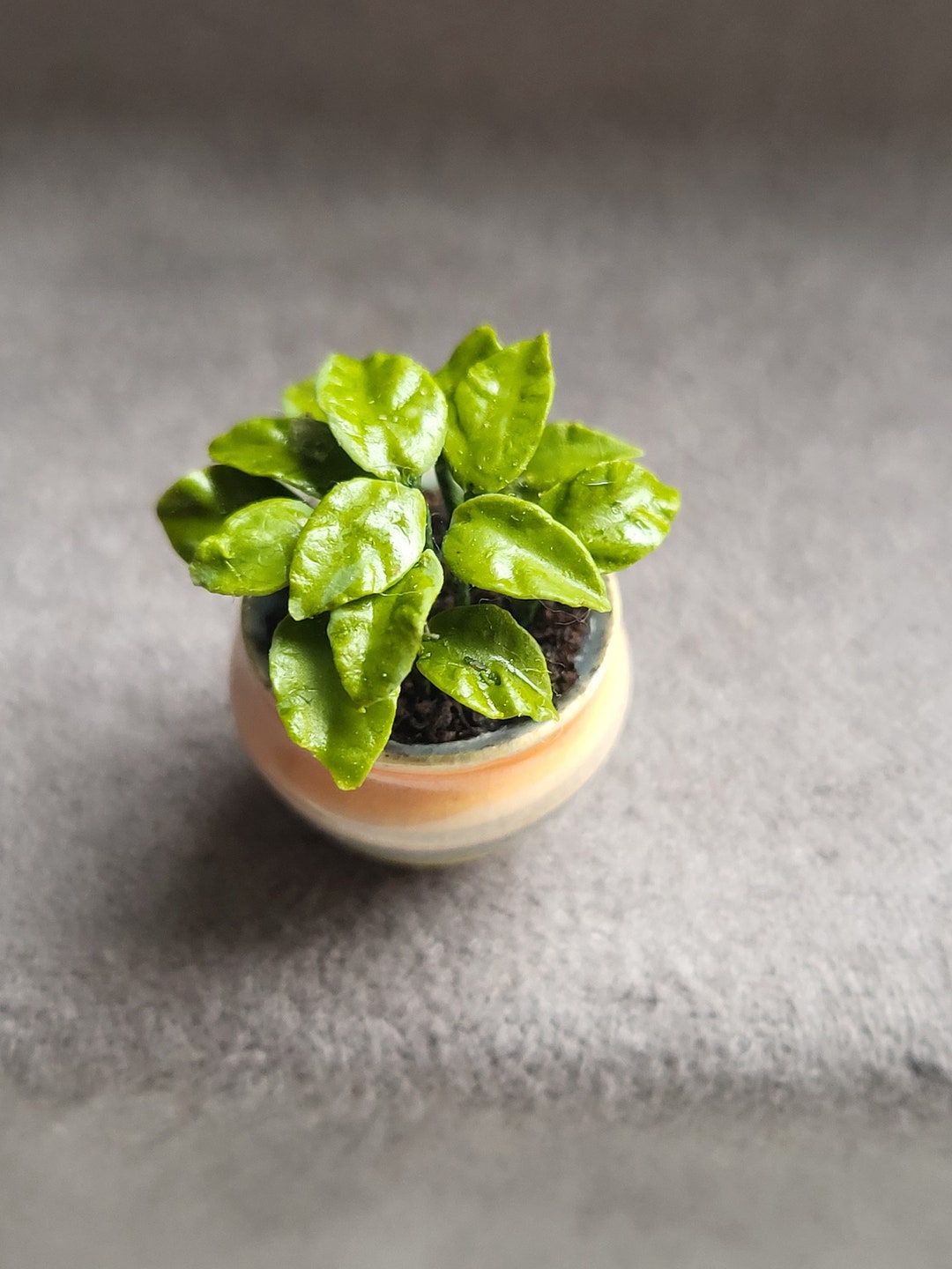 Green PLANT in a Ooak Pot, Scale 1:12 Dollhouse, Miniatures, Garden ...