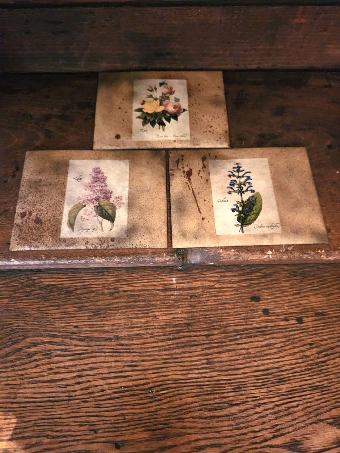 Primitive Seed Packet Set of 3 - Etsy