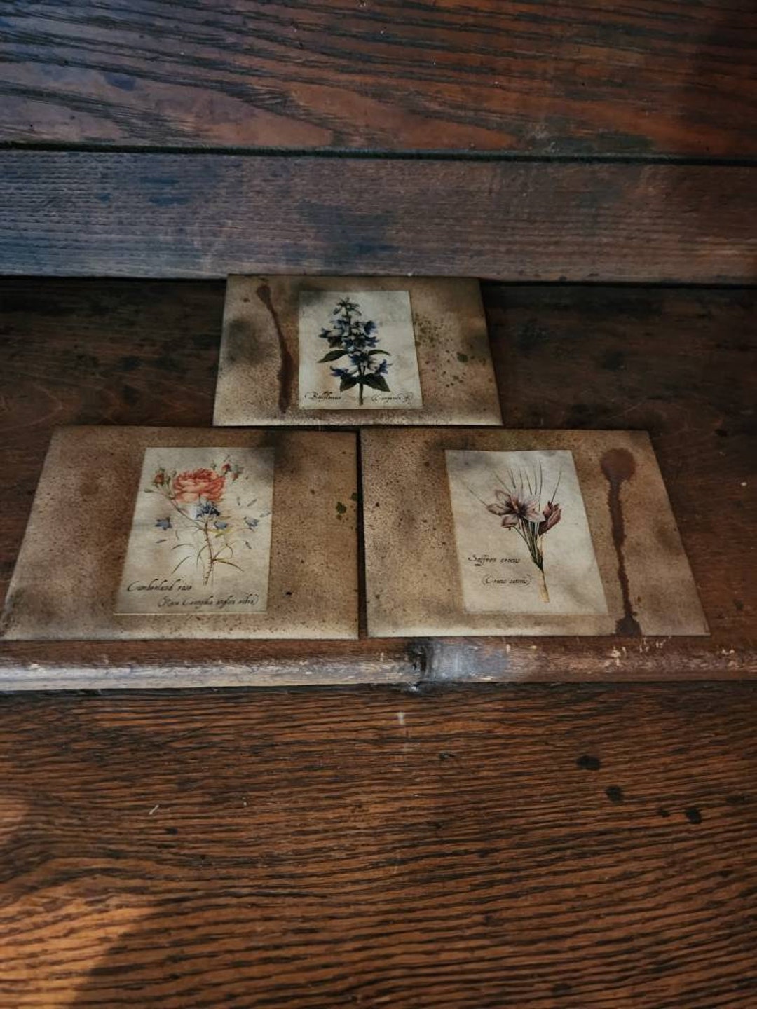 Primitive Seed Packet Set of 3 - Etsy