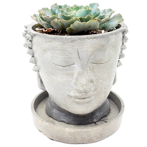 Buddha Planter | Etsy