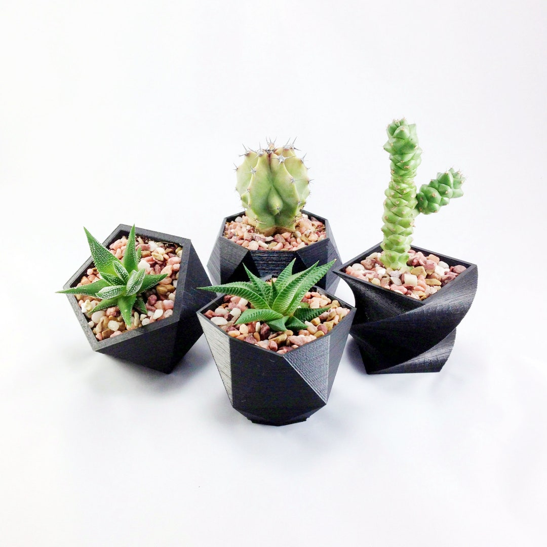 SET OF 4 - 3D Printed Geometric Mini Plant Pots - Modern Edgy Decor ...