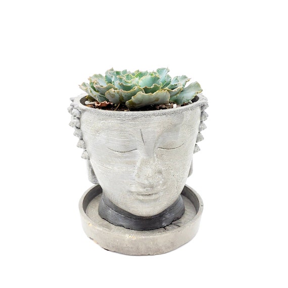 Buddha Pot Buddha Face Planter Pot With Drainage Makers India