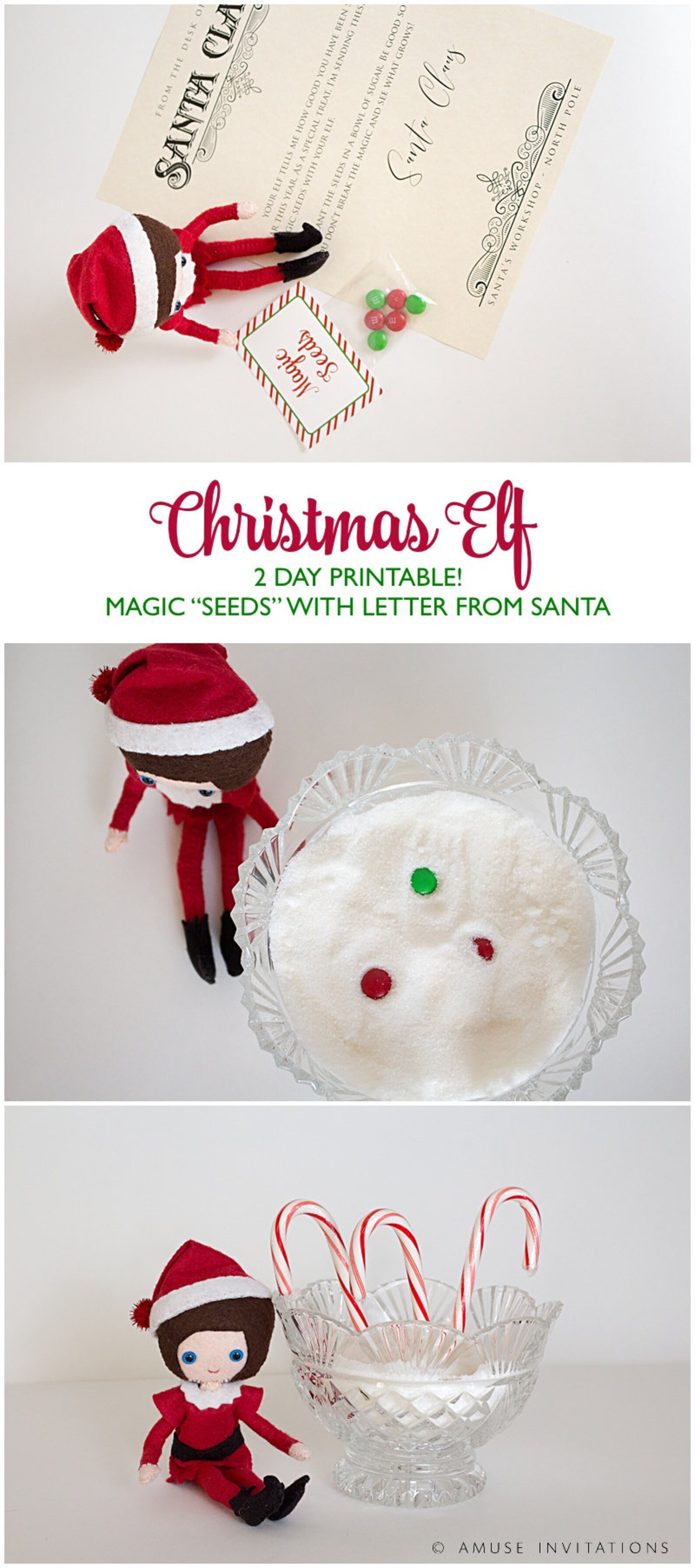 Elf Magic Seeds, Santas Magic Seeds, Christmas Elf Accessories, Santa's ...