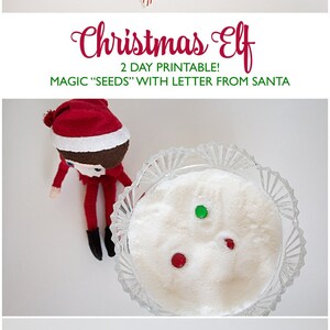 Elf Magic Seeds, Santas Magic Seeds, Christmas Elf Accessories, Santa's ...