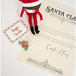 Elf Magic Seeds, Santas Magic Seeds, Christmas Elf Accessories, Santa's ...