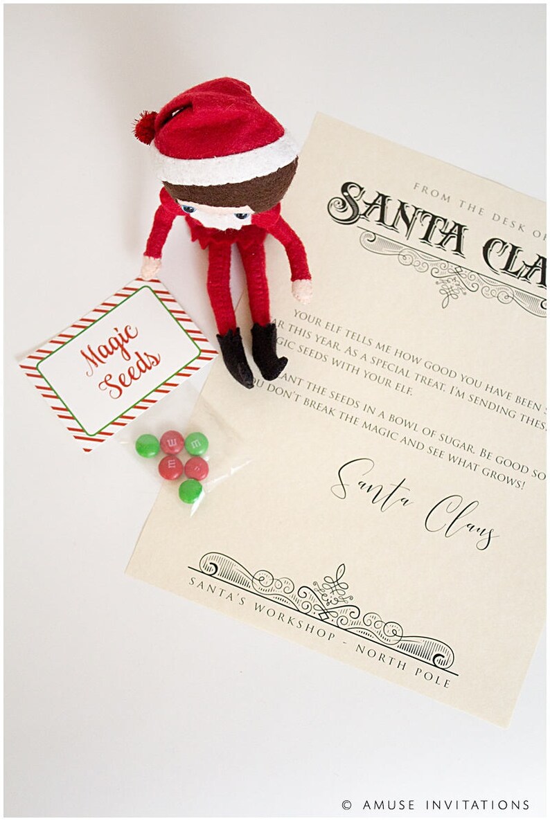 Elf Magic Seeds, Santas Magic Seeds, Christmas Elf Accessories, Santa's ...