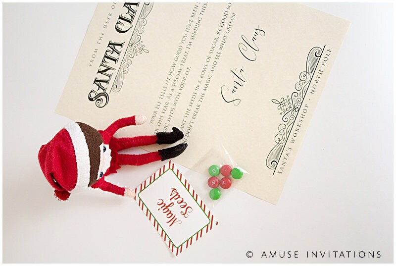 Elf Magic Seeds, Santas Magic Seeds, Christmas Elf Accessories, Santa's ...