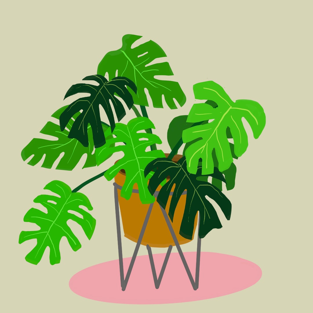 Monstera Plant Art Print – Mid Century Modern Wall Decor – 8x8 Graphic ...