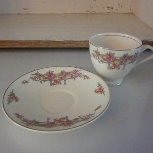 Wedgwood "hiawatha" Teacup and Saucer Vintage Wedgwood Cup and Saucer ...